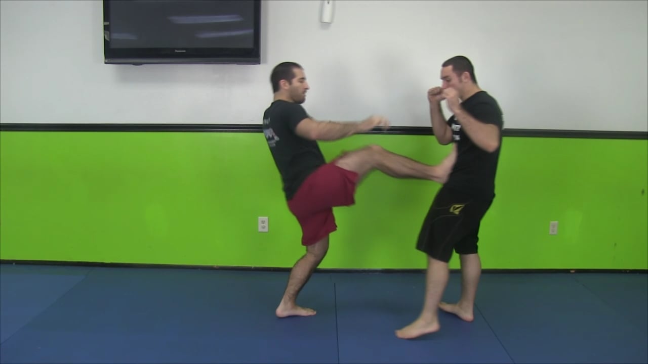Push Front Kick - FFAcoach