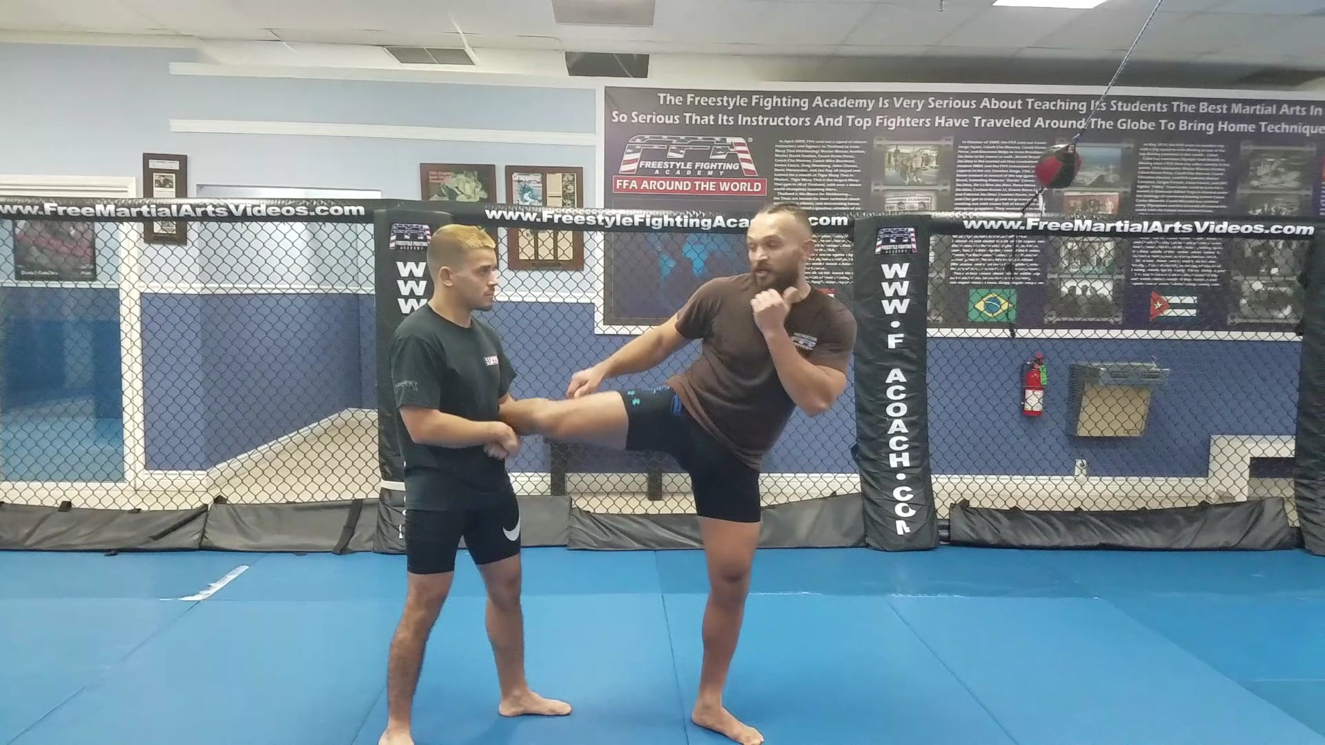 Roundhouse Kick Workout - FFAcoach