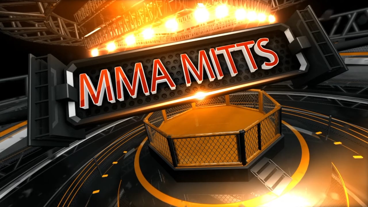 MMA Mitts 02 - Slipping Punches - FFAcoach