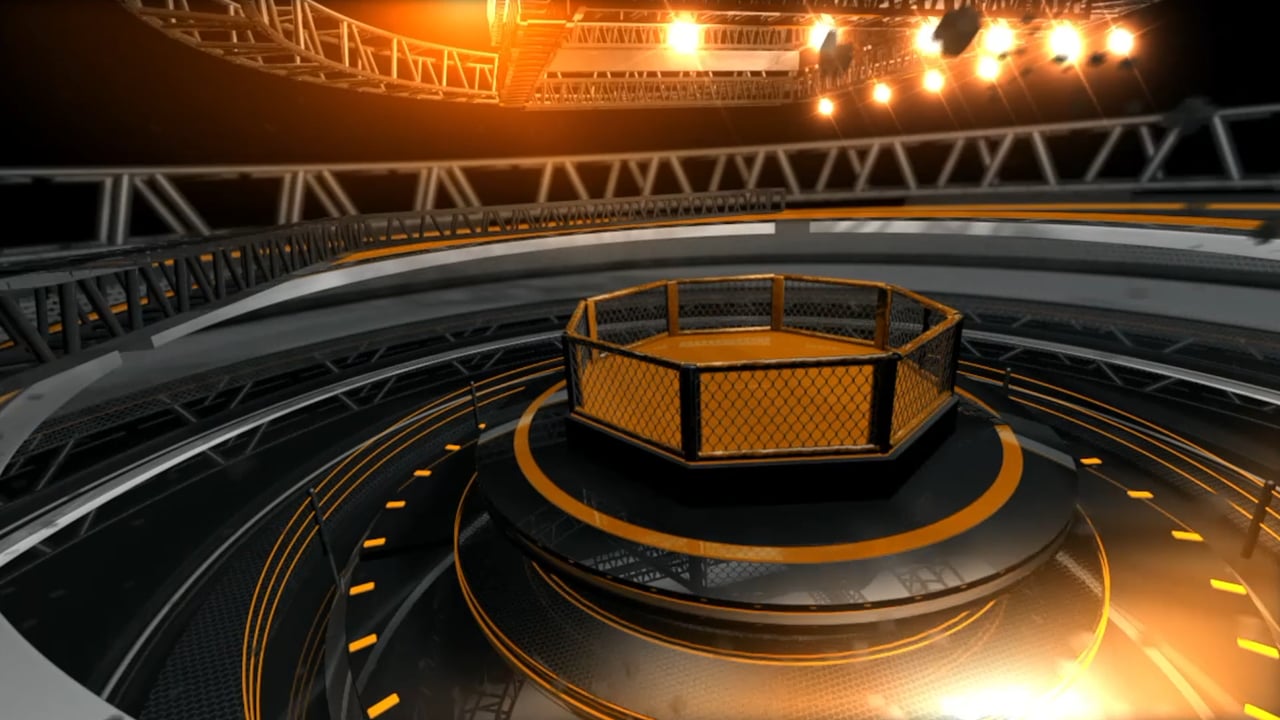 MMA Mitts 05 - Bobbing And Weaving - FFAcoach