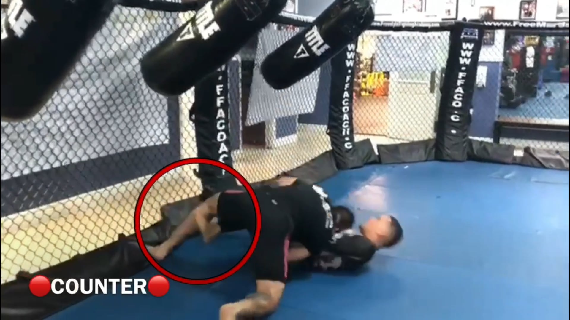 Che Moreno Sparring Flow - FFAcoach