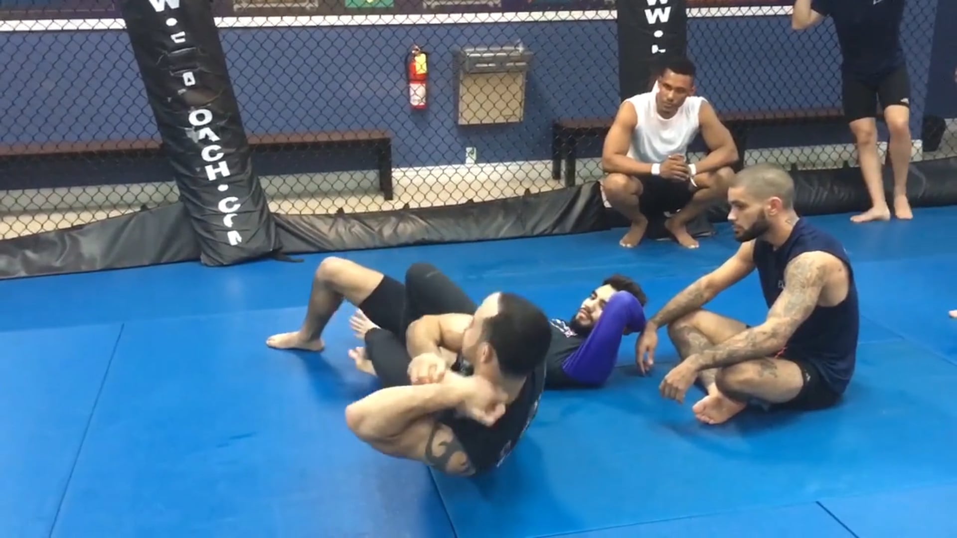 411 to quick modified knee bar heel hook - FFAcoach