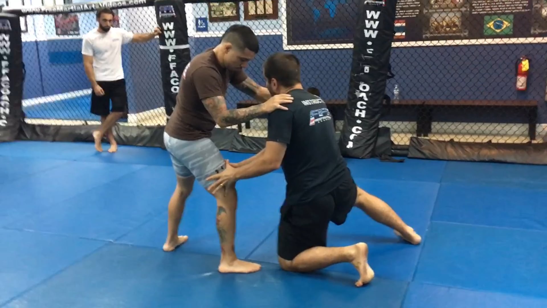 Chain Wrestling Shots - FFAcoach