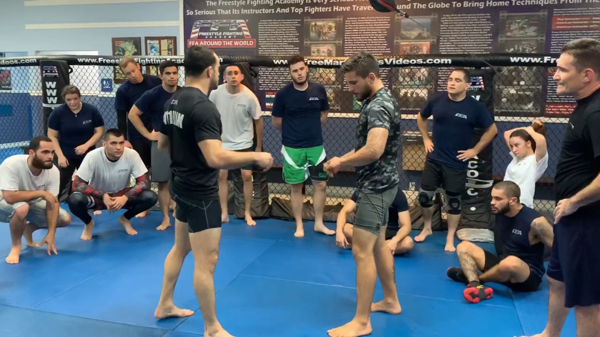 MMA - clinch to knee, to snap, to circle to the back - FFAcoach