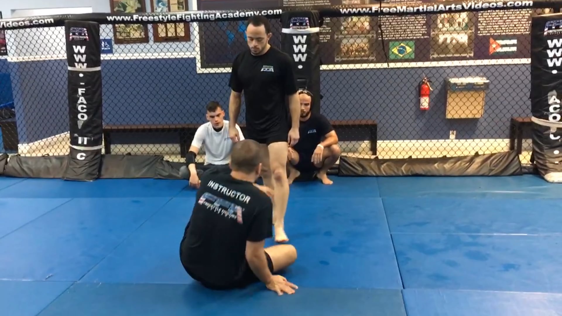 Mma stand up - FFAcoach