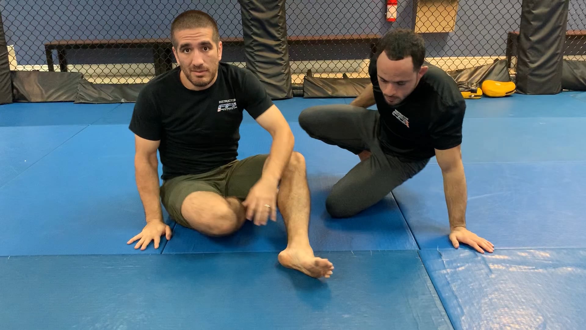 Arm Bar Omoplata - FFAcoach