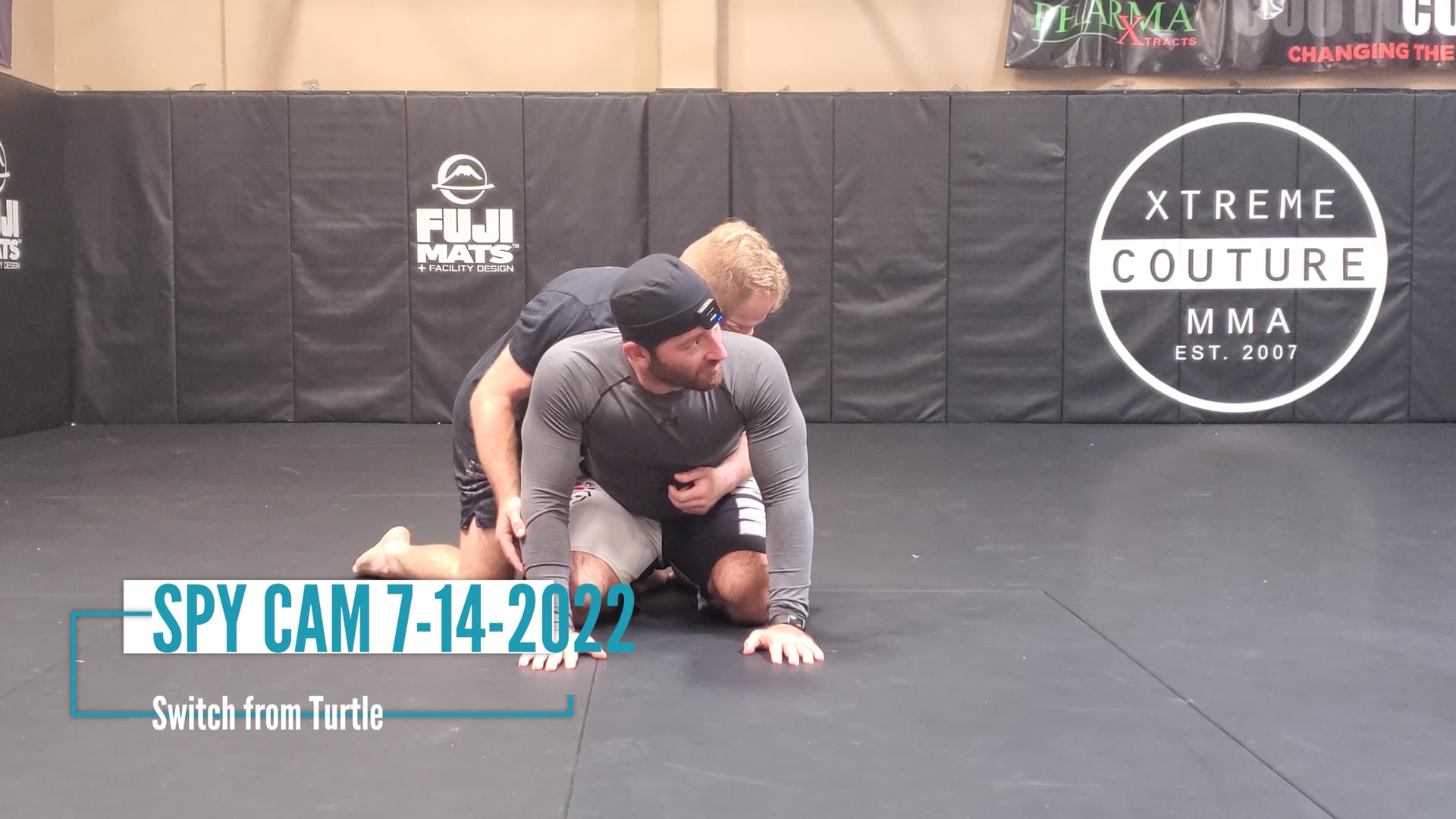 Switch from Turtle - FFAcoach